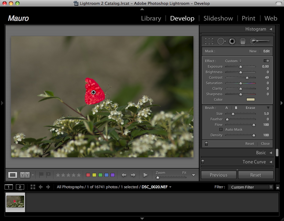 acr: adjustment brush | colore digitale blog